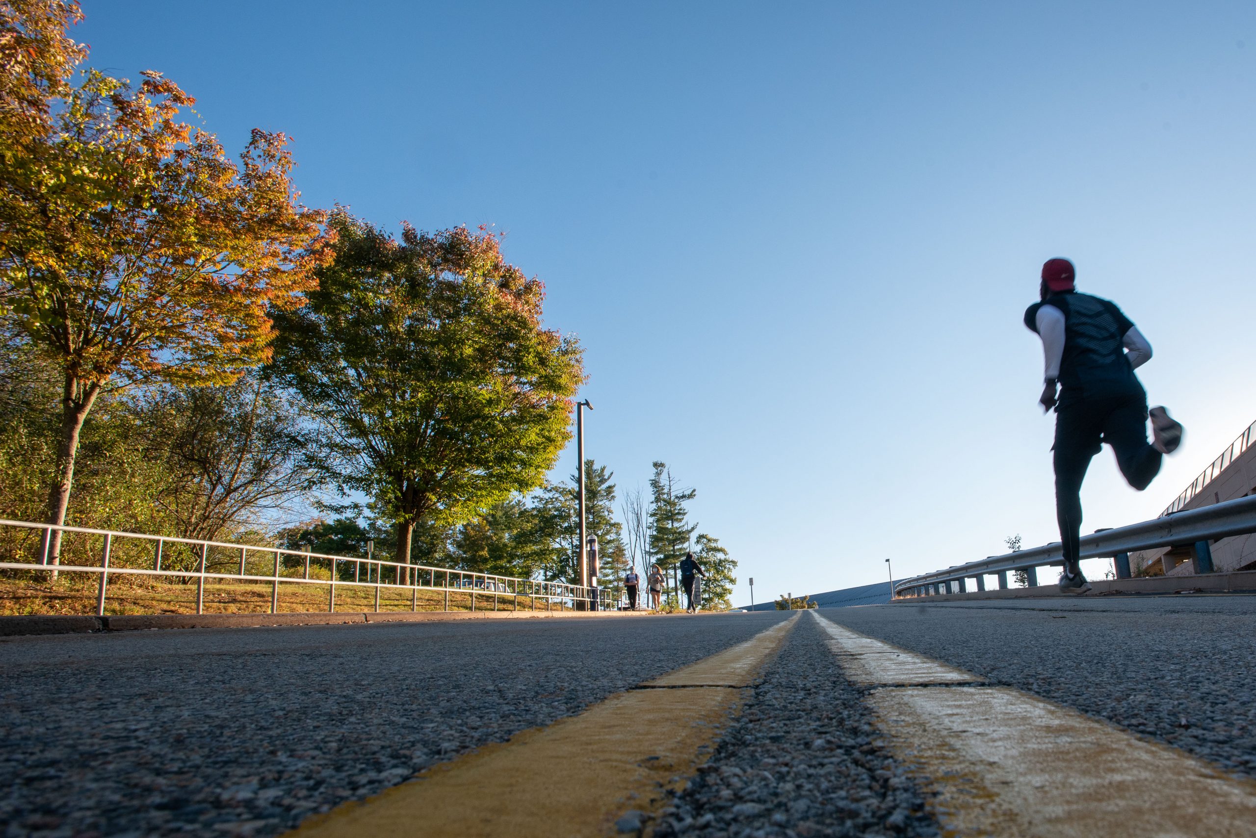 Sport Optimization and Rehabilitation Laboratory | Department of ...